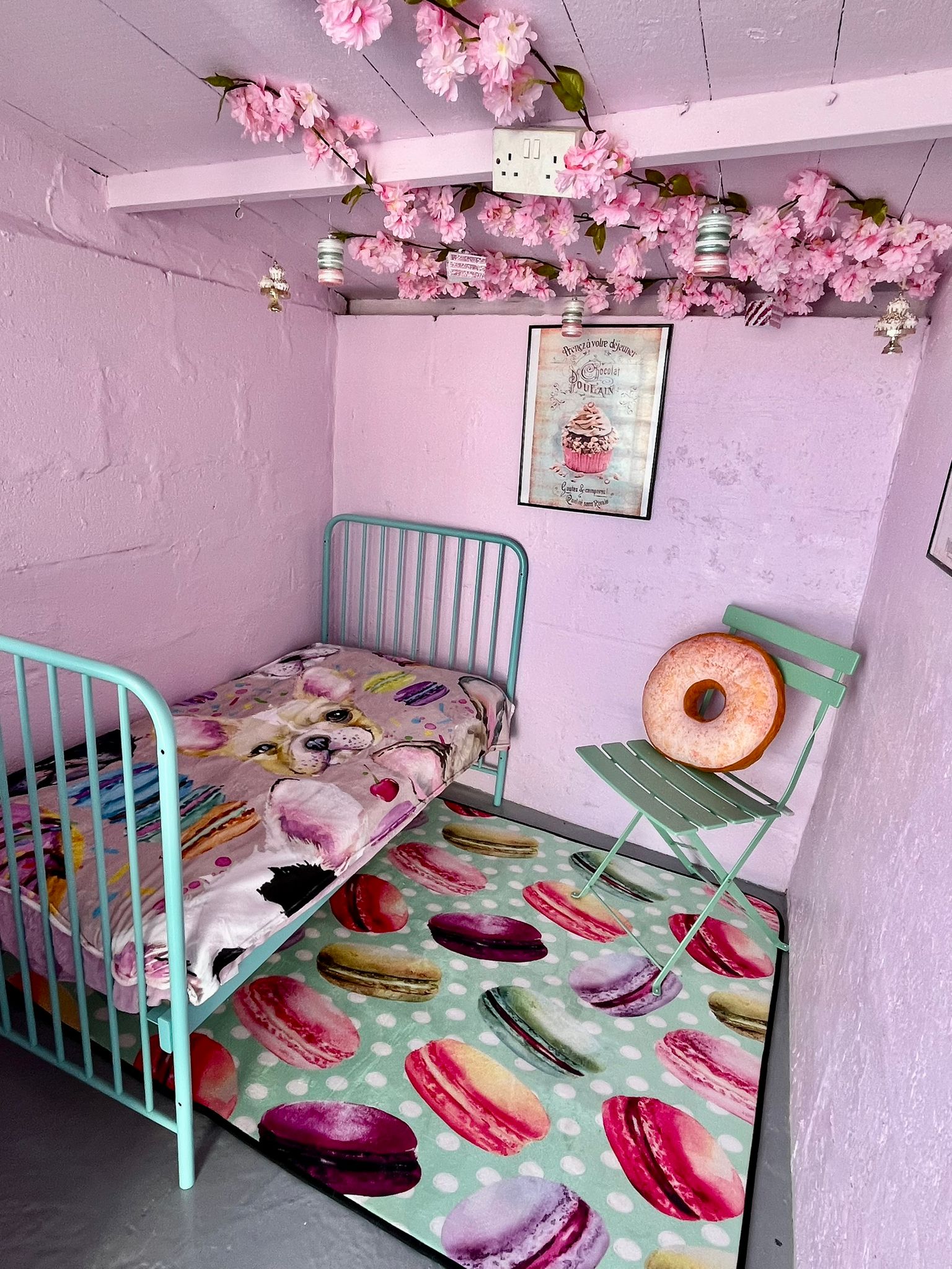 Pawduree | Glenugie Kennels